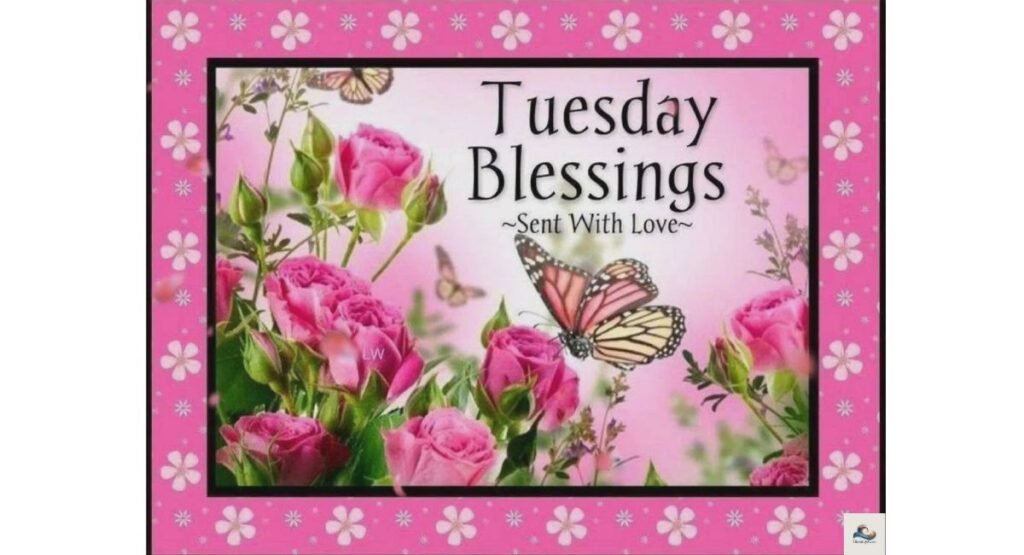 150+ Best Good Morning Tuesday Blessings, Prayers, Quotes & Messages ...